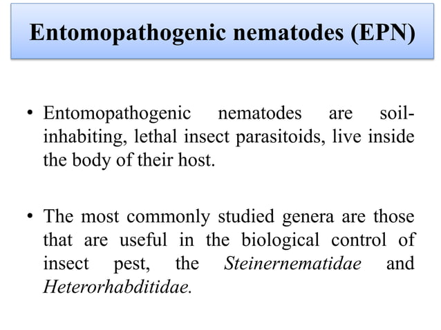 entomopathogenic microbes in the management of insect | PPTX ...