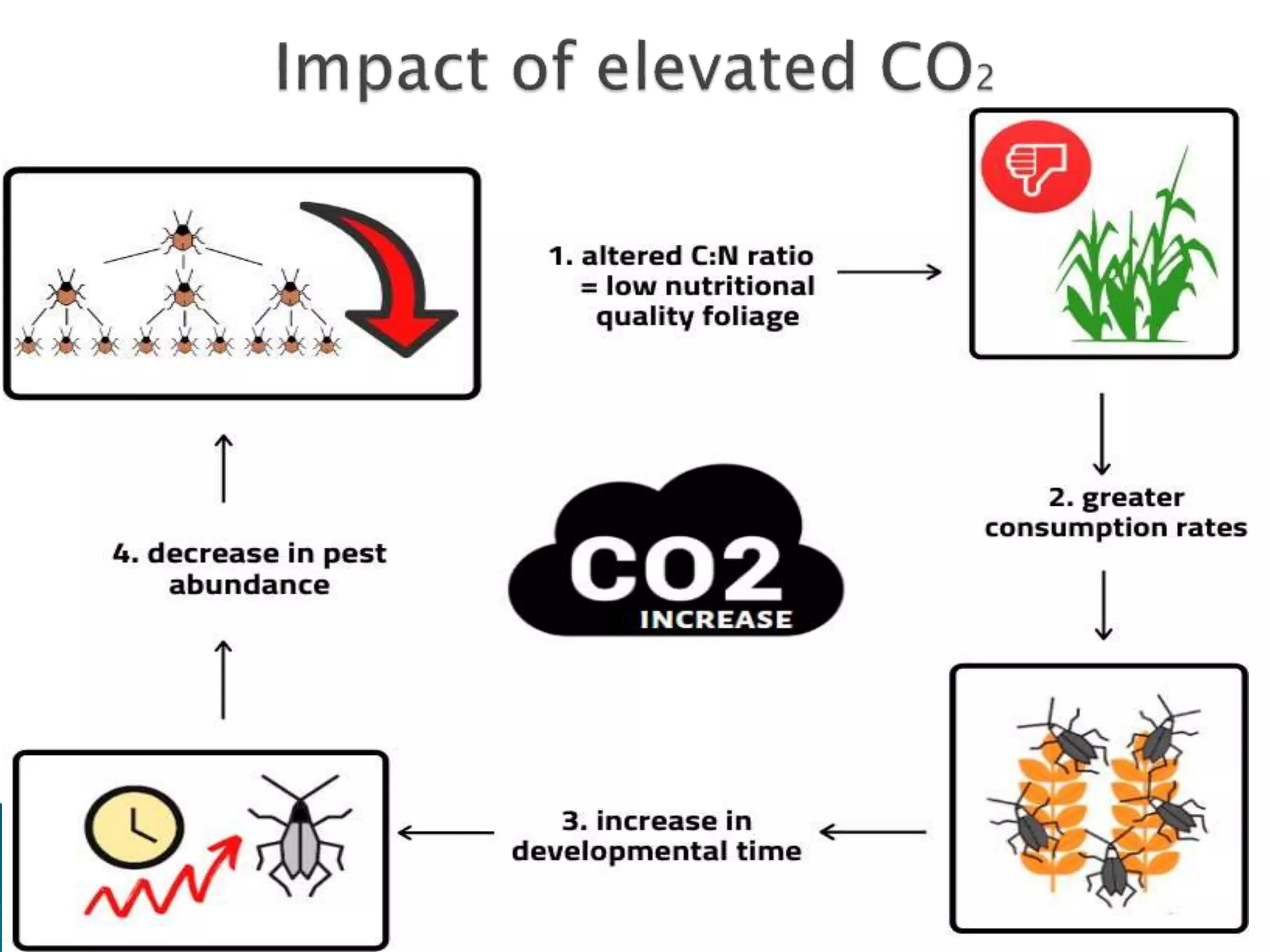 Impact of climate change on insect pest | PPTX