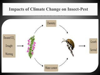 Impact of climate change on insect pest | PPTX