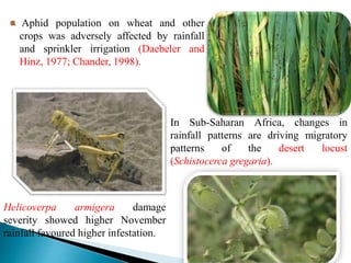 Impact of climate change on insect pest | PPTX