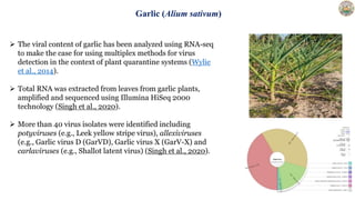 Next generation sequencing for Identification and Characterization of ...