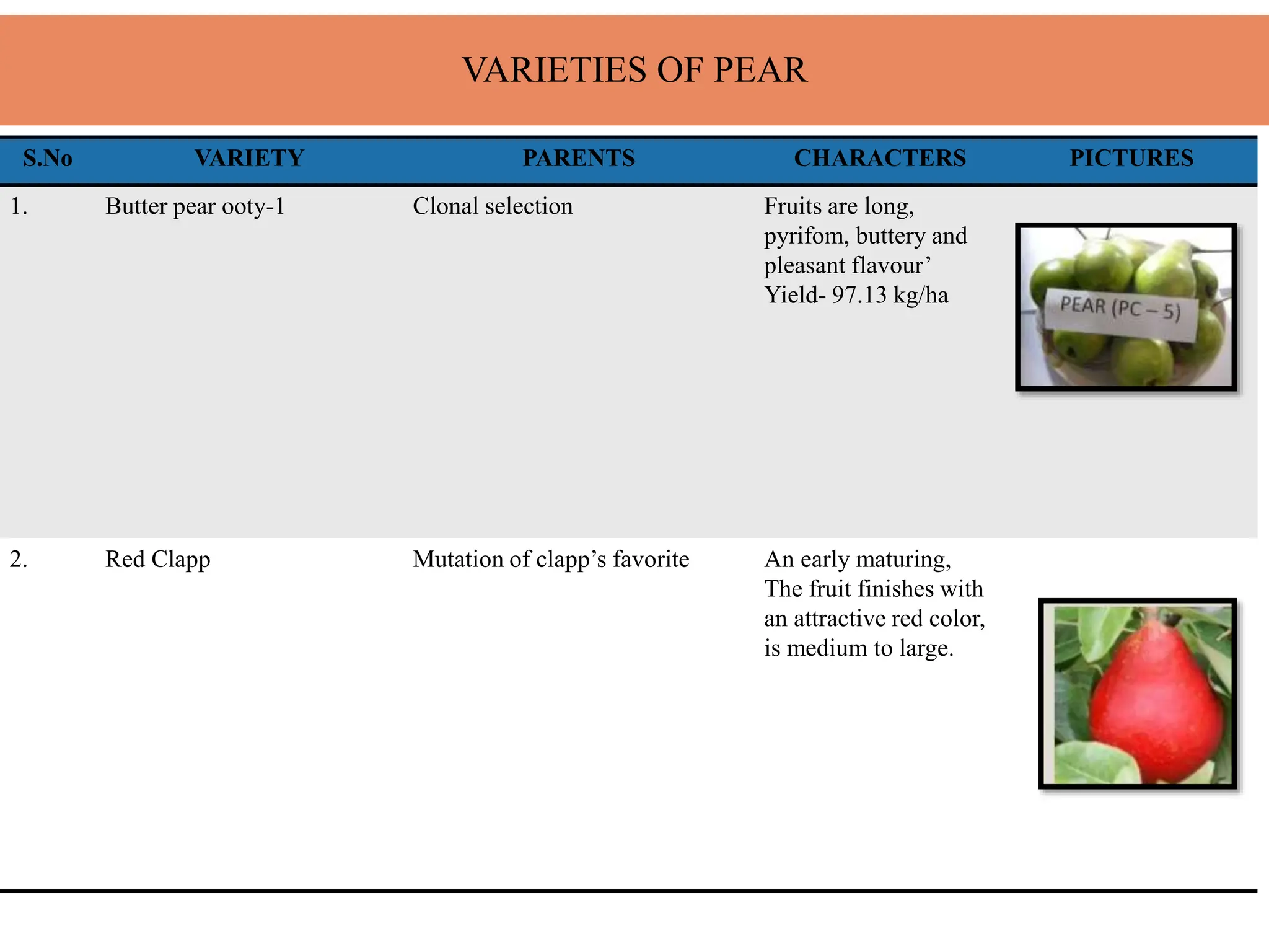 NATIONAL AND INTERNATIONAL SCENARIO IN FRUIT PRODUCTION, IMPROVED ...