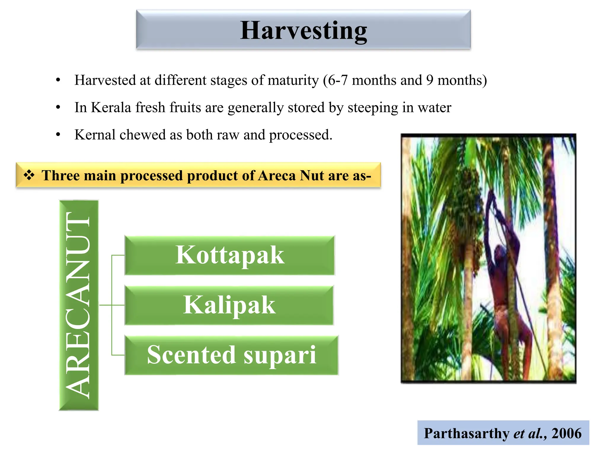 Recent advances in quality and processing of plantation crops in India ...