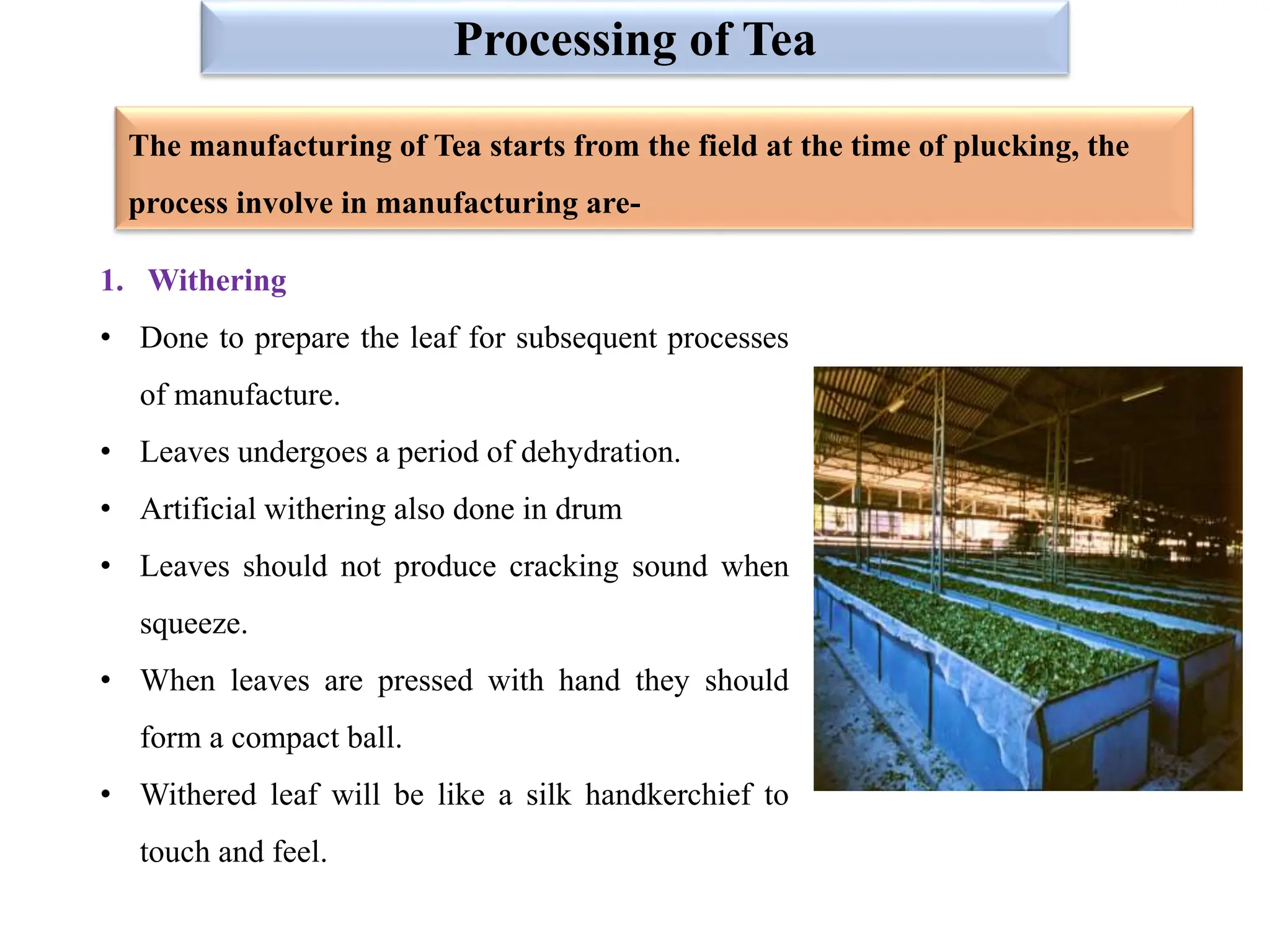 Recent advances in quality and processing of plantation crops in India ...