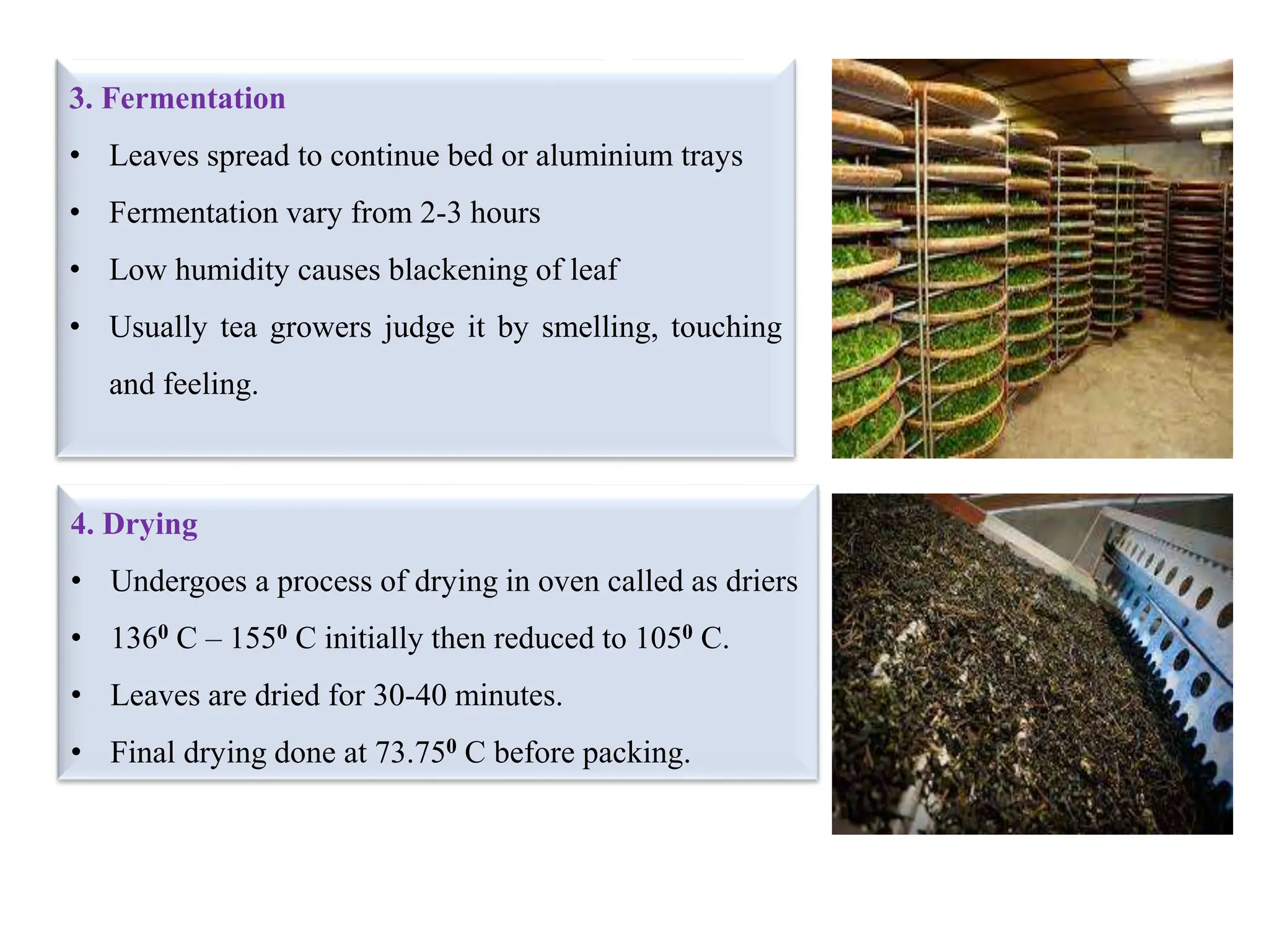 Recent advances in quality and processing of plantation crops in India ...