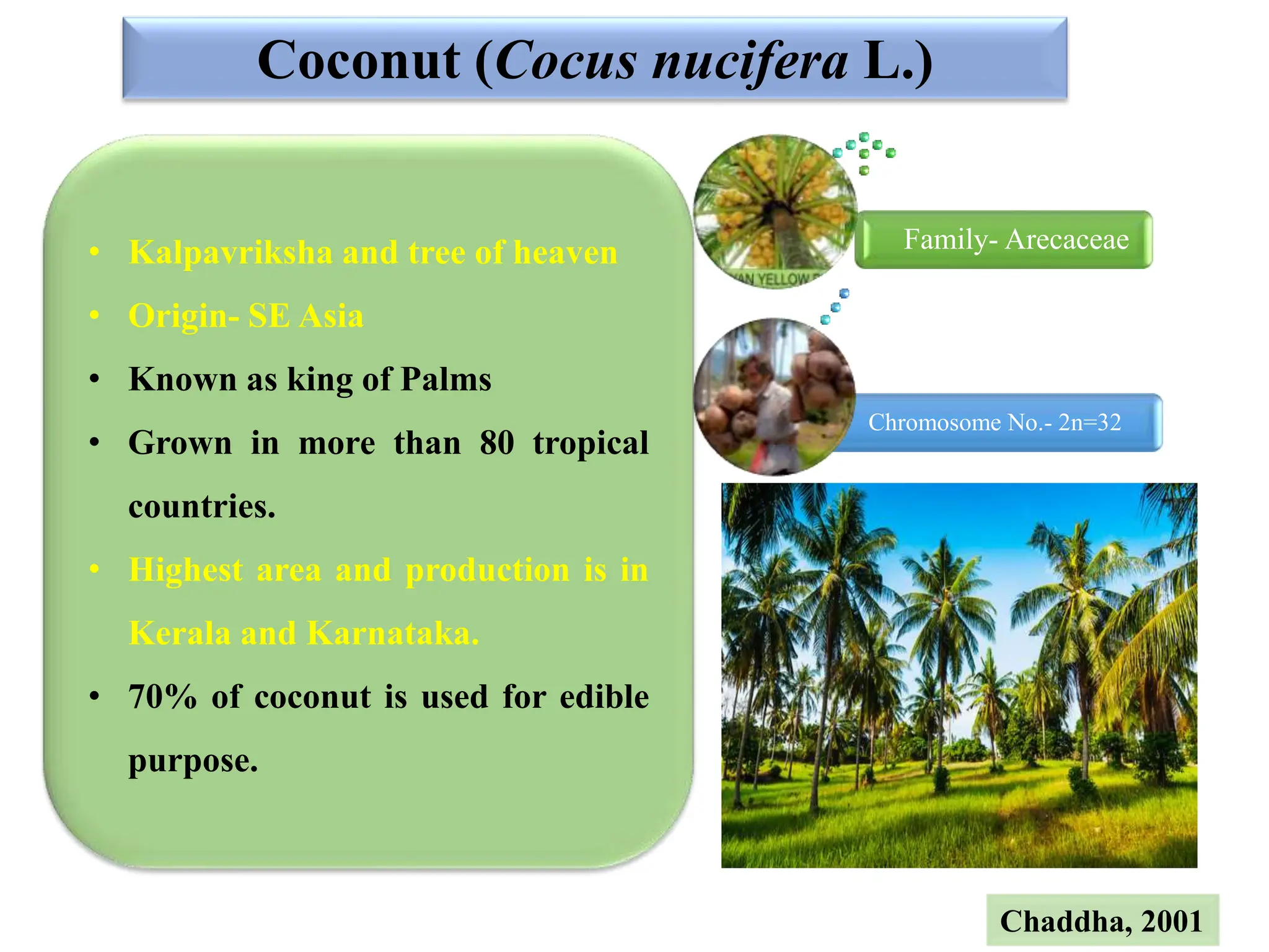 Recent advances in quality and processing of plantation crops in India ...