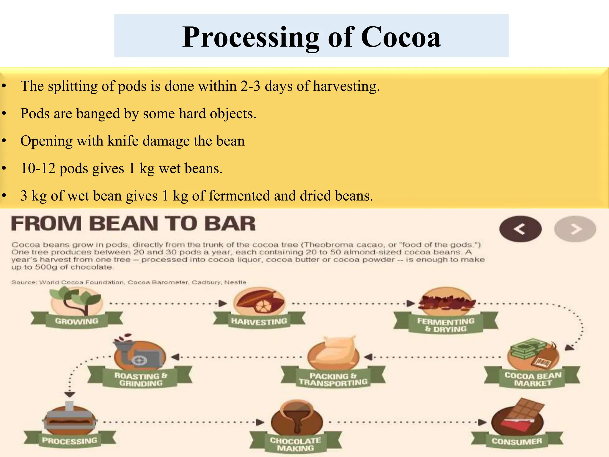 Recent advances in quality and processing of plantation crops in India ...