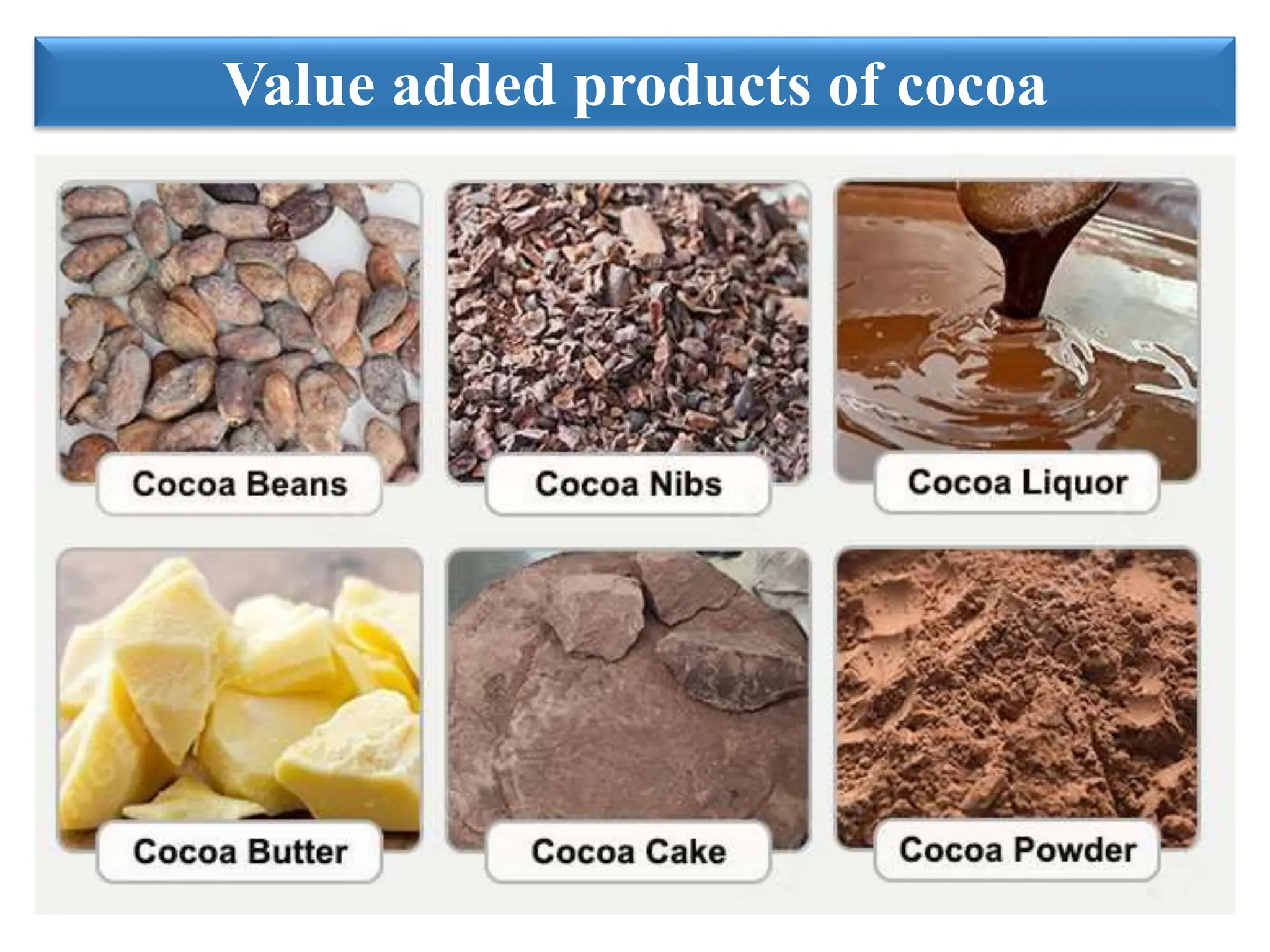 Recent advances in quality and processing of plantation crops in India ...