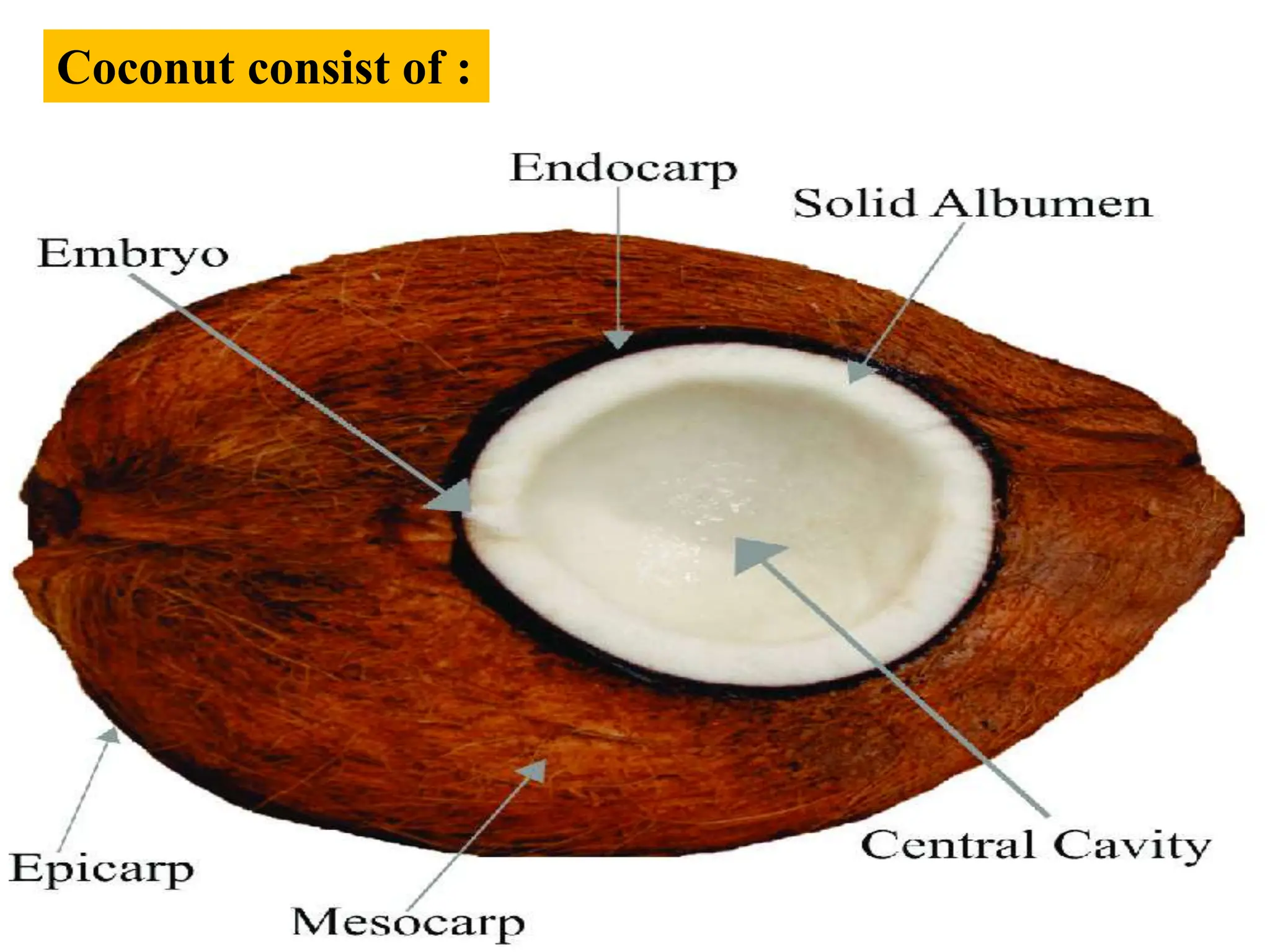Recent advances in quality and processing of plantation crops in India ...