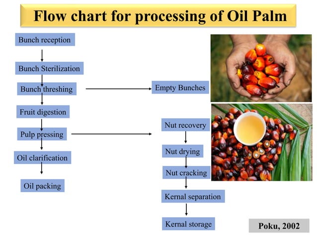 Recent advances in quality and processing of plantation crops in India ...