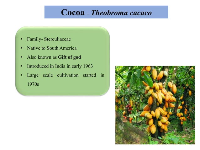 Recent advances in quality and processing of plantation crops in India ...