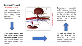 Recent Advances in Surgical Affections of Kidney with special reference ...