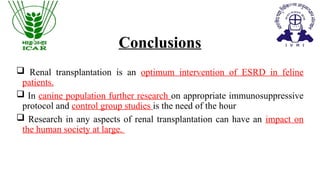 Recent Advances in Surgical Affections of Kidney with special reference ...