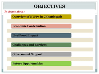 Status of NTFPs in Chhattisgarh and its role in livelihood.pptx