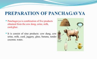 Role of Panchagayva in Field Crops. Organic fertilizer. | PPT