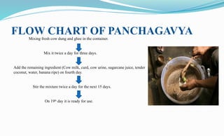 Role of Panchagayva in Field Crops. Organic fertilizer. | PPT