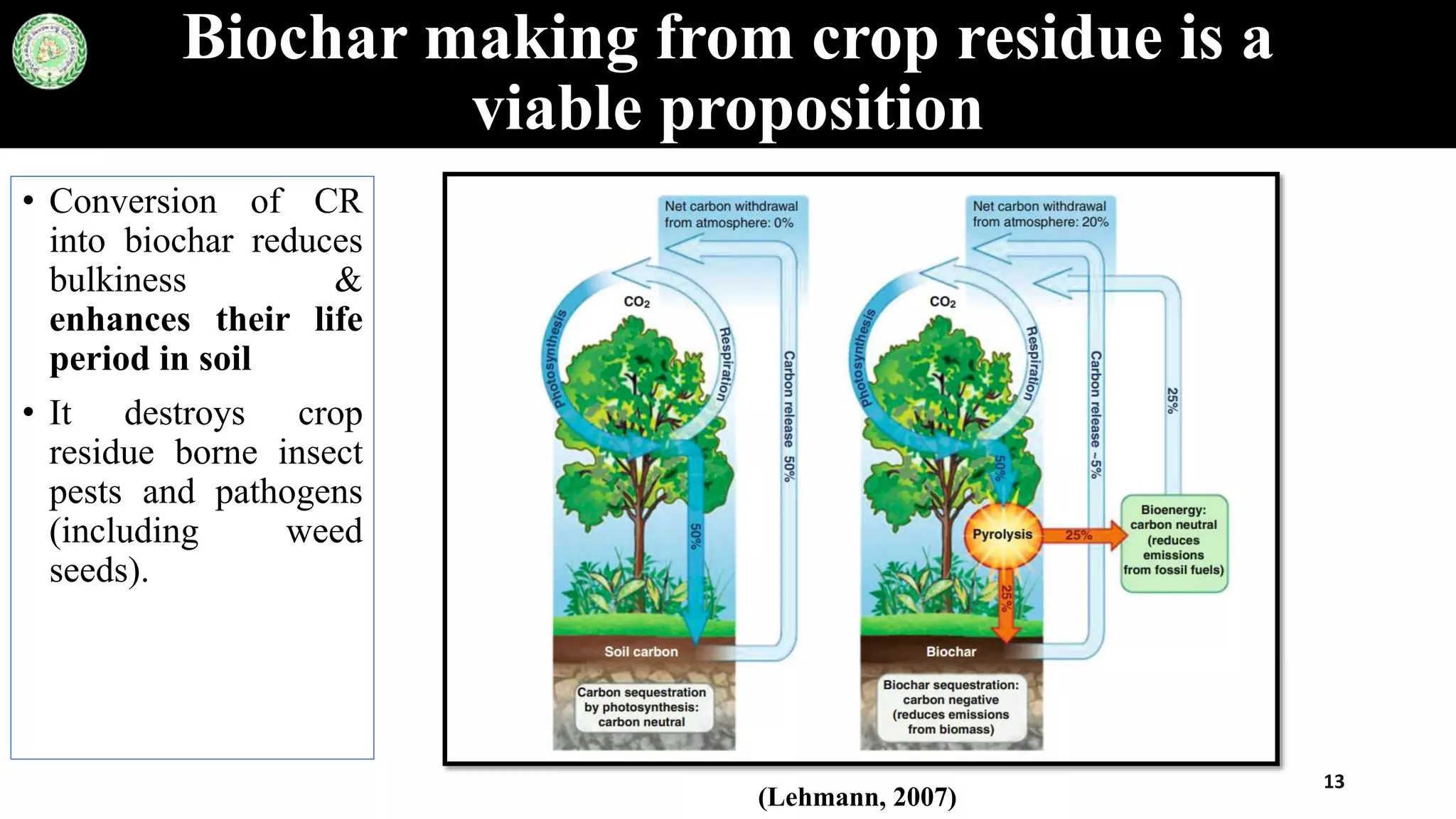 Biochar and its application in agriculture | PPT | Agriculture | Industries