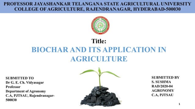 Biochar and its application in agriculture | PPT | Agriculture | Industries