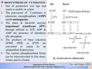 Study of plant growth regulators in fruit culture – structure ...