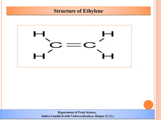 Study of plant growth regulators in fruit culture – structure ...