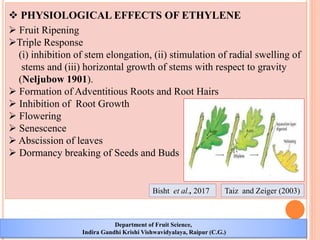 Study of plant growth regulators in fruit culture – structure ...