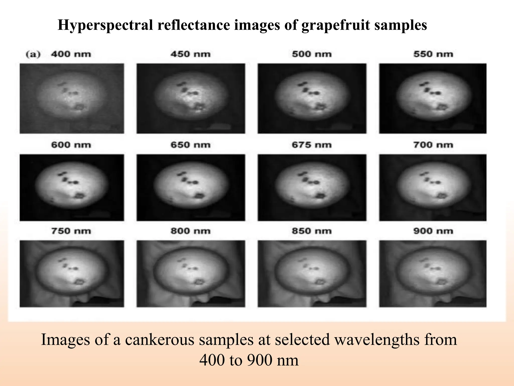 Recent advances on application of remote sensing in fruit production of ...