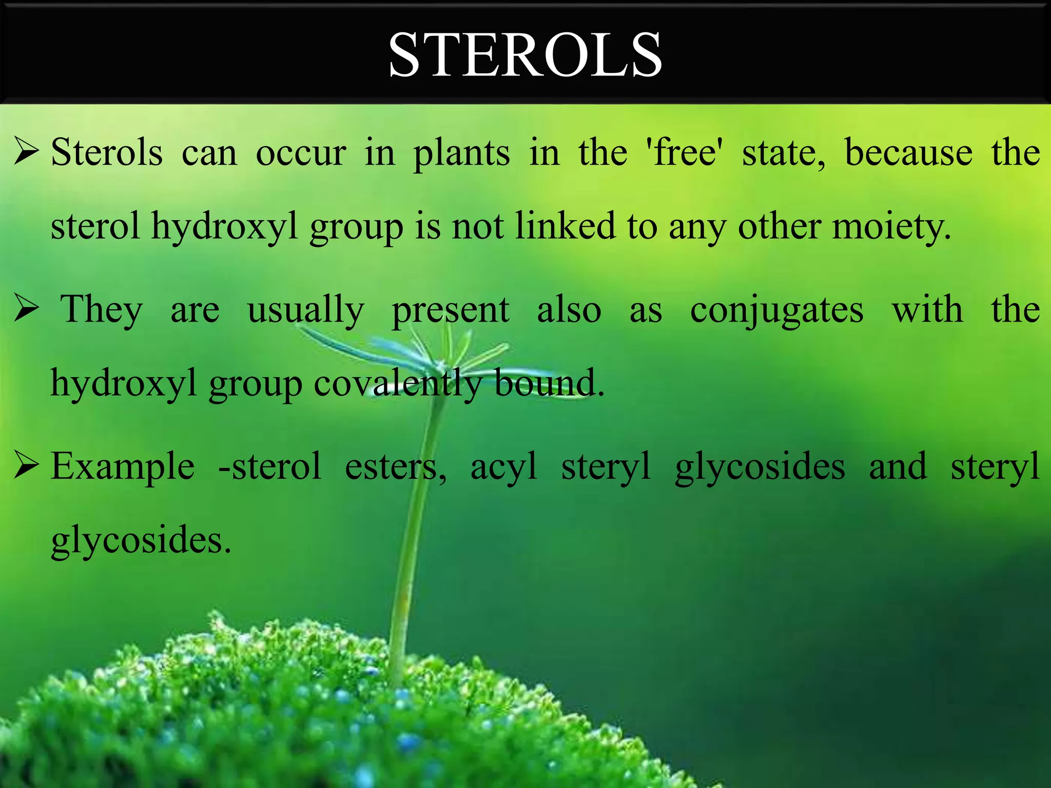 NEW ASPECTS OF STEROLS IN PLANT INSECT INTERACTION | PPTX