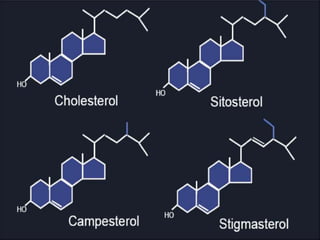 NEW ASPECTS OF STEROLS IN PLANT INSECT INTERACTION | PPTX