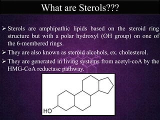 NEW ASPECTS OF STEROLS IN PLANT INSECT INTERACTION | PPT