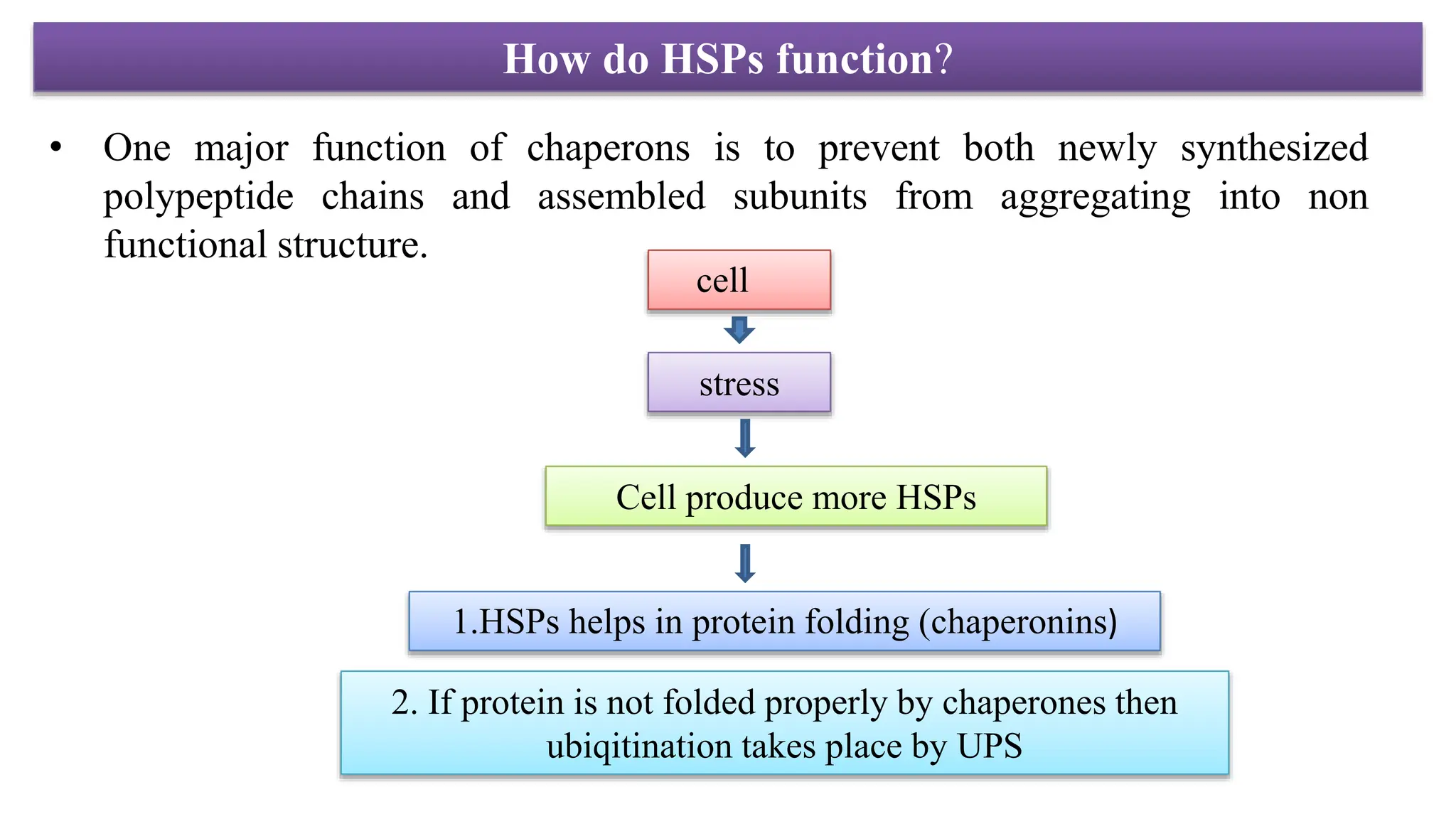 Use of PGR’s in stress management, mode of action & practical use, HSP ...