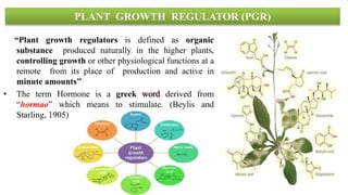 Use of PGR’s in stress management, mode of action & practical use, HSP ...