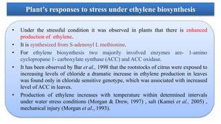 Use of PGR’s in stress management, mode of action & practical use, HSP ...