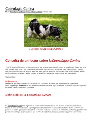 El Cachorro Superará El Comer Caca