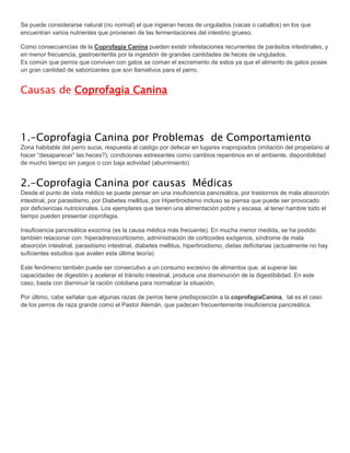 El Cachorro Superará El Comer Caca