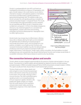 Doctors Data Inc Zonulin White Paper | PDF