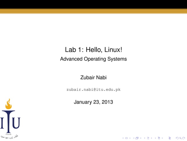 AOS Lab 1: Hello, Linux! | PDF