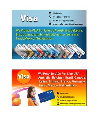 Document Expert | PDF