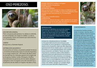 Analisis animales | PDF