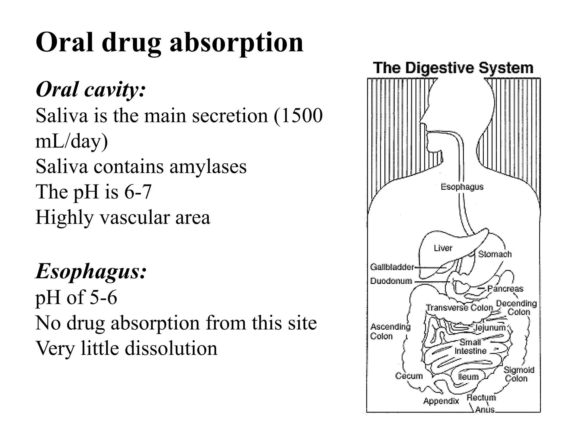 Pharmacokinetics / Biopharmaceutics - physiological factors affecting ...