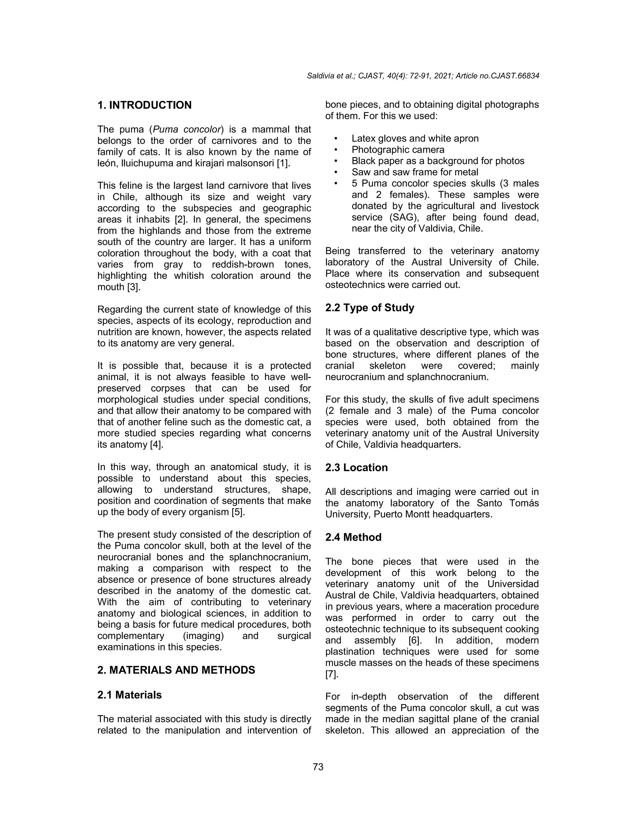 Descripción anatómica del cráneo del puma concolor | PDF