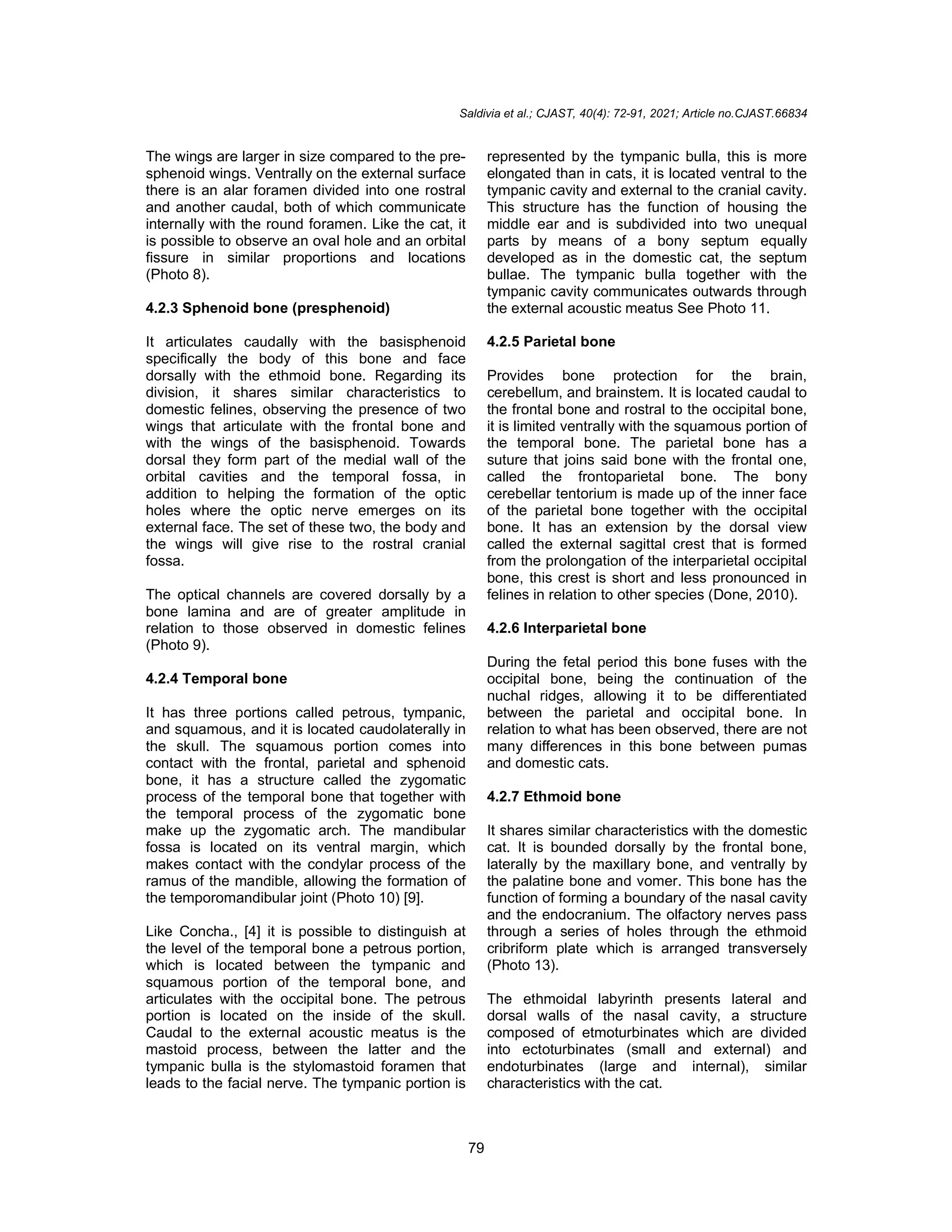 Descripción anatómica del cráneo del puma concolor | PDF