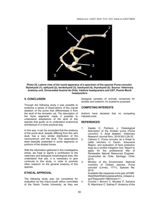 Descripción anatómica del cráneo del puma concolor | PDF