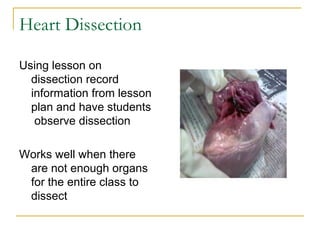 Document Camera in Science Class | PPT