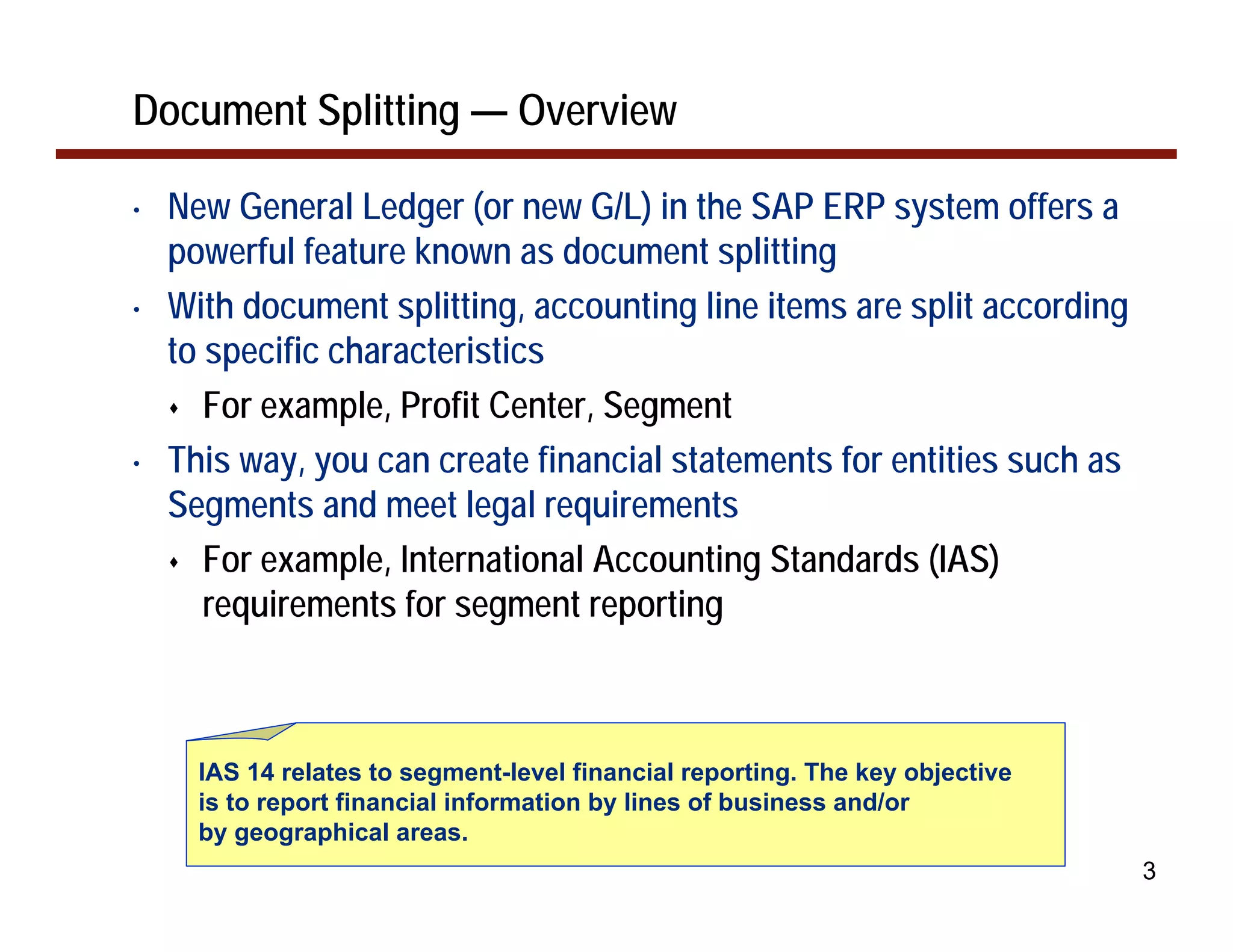 Document splitting-in-new-general-ledger | PDF