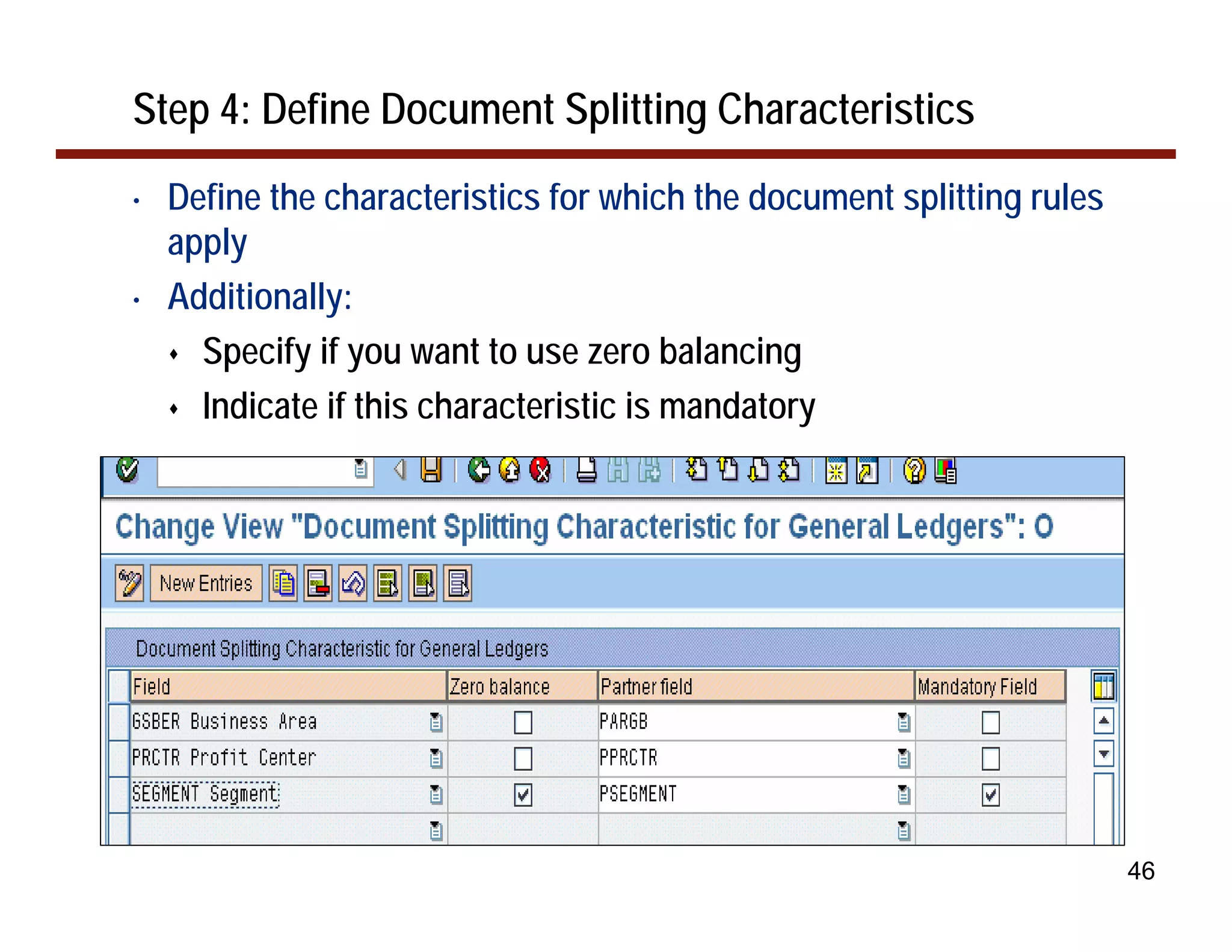 Document splitting-in-new-general-ledger | PDF