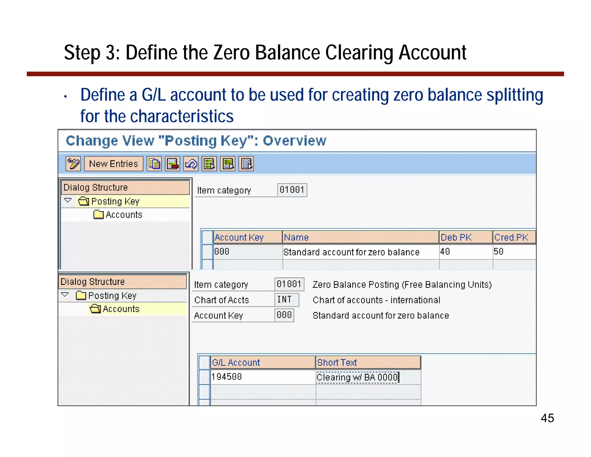 Document splitting-in-new-general-ledger | PDF
