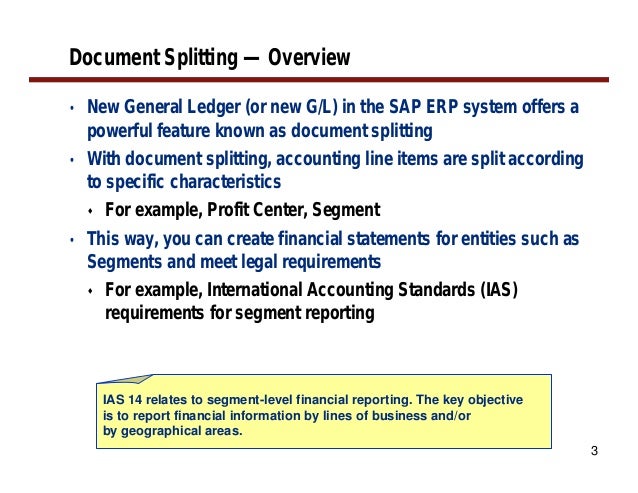 Document splitting-in-new-general-ledger