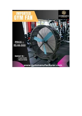 Imported Gym Fan | DOCX