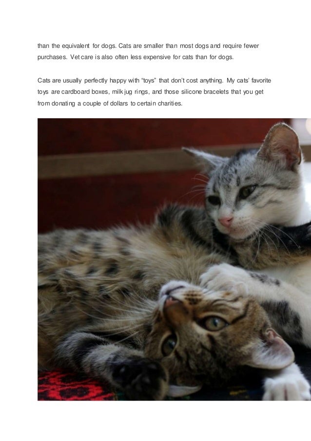 Document (11) (5).docx | Cats | Pets