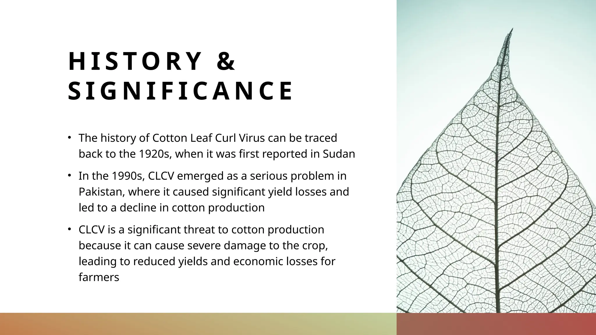 New developments against cotton leaf curl virus (CLCuV | PPTX